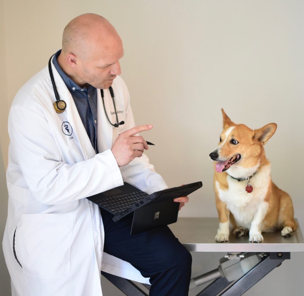 About Us - Great Scottie Veterinary Clinic