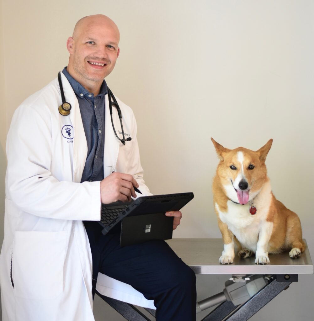 Veterinarian in Odenton, MD | Quality Vet Care You Can Trust