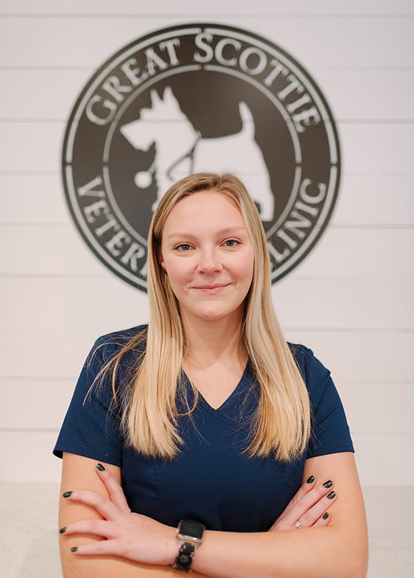 About Us - Great Scottie Veterinary Clinic