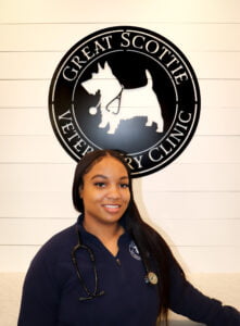 About Us - Great Scottie Veterinary Clinic